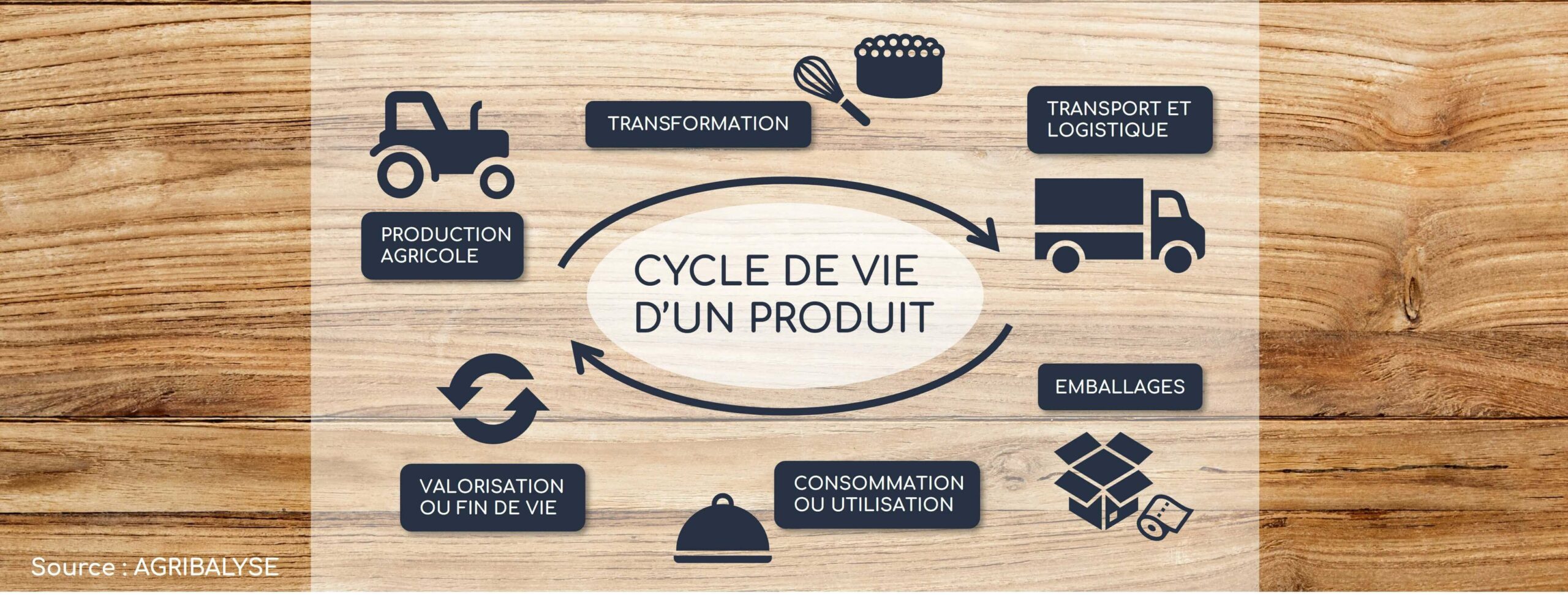 L’analyse du cycle de vie (ACV) - Alma & Margo